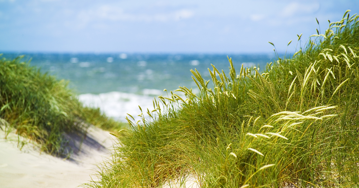 Harbor baths and beach