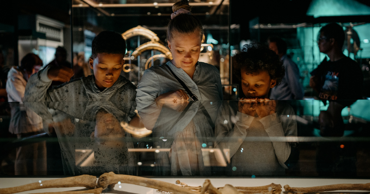 Tips og ture til grupper